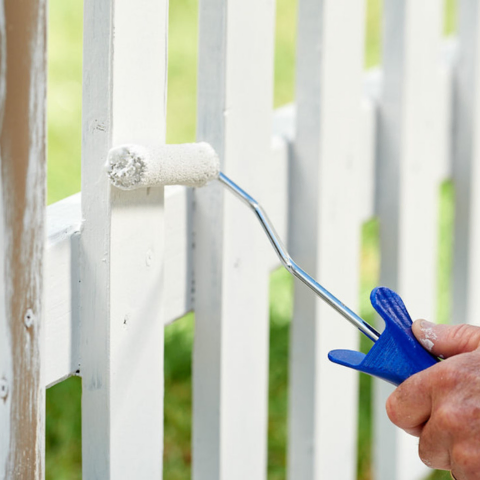 Best Roller For Smooth Wall Finishes | Monarch New Zealand